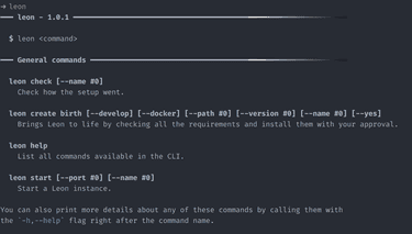 Sharing Our Journey Developing the Leon CLI | Leon Blog